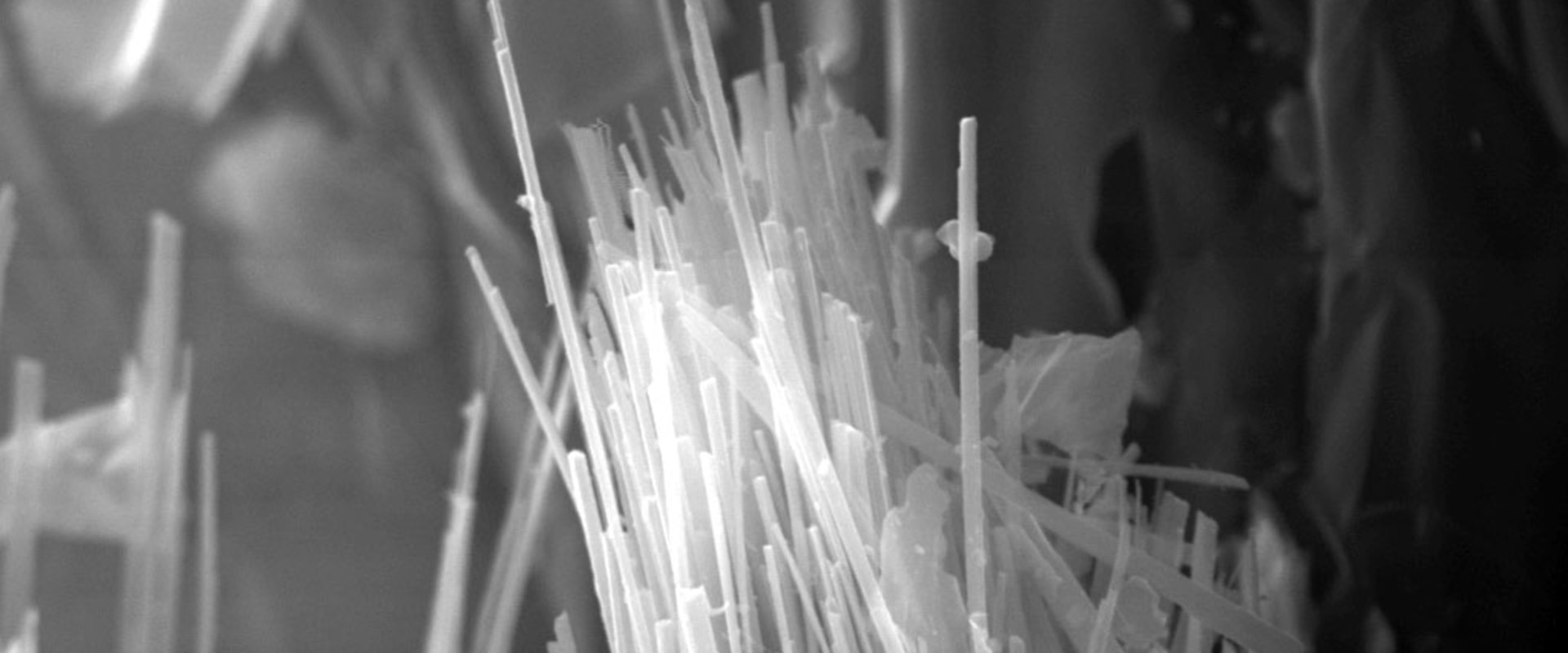 What are the types of sem?